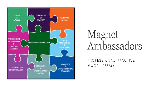 Magnet Site Visit Toolkit
